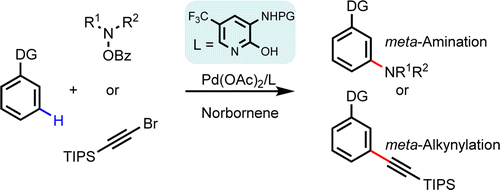 配体促进的meta-C-H胺化和炔化,Journal of the American Chemical Society - X-MOL
