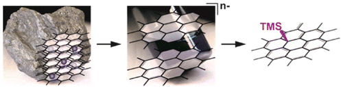 Topology-Driven Reductive Silylation of Synthetic Carbon Allotropes ...