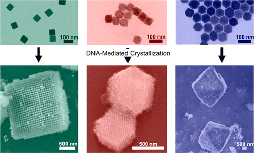 Programming Colloidal Crystal Habit with Anisotropic Nanoparticle ...