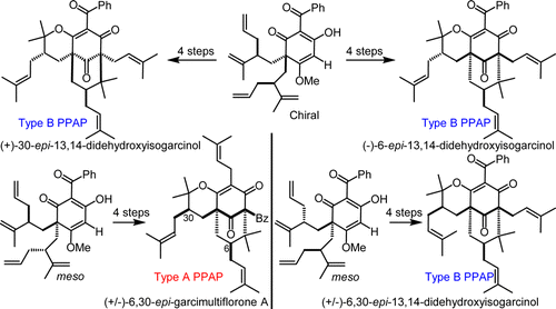 Syntheses of (+)-30-epi-, (−)-6-epi-, (±)-6,30-epi-13,14 ...