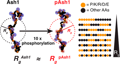 Sequence Determinants of the Conformational Properties of an ...