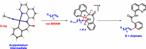 Detailed Mechanistic Studies on Palladium-Catalyzed Selective C–H ...