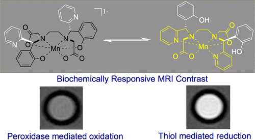 A Janus Chelator Enables Biochemically Responsive MRI Contrast with ...