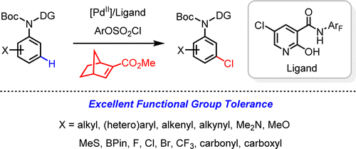 Ligand Promoted meta-C–H Chlorination of Anilines and Phenols,Journal ...