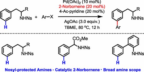 Nosyl 保护的苯乙胺、苄胺和 2-芳基苯胺的配体间选择性 C–H 芳基化,Journal of the American Chemical ...