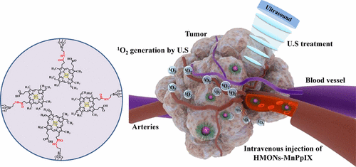 Metalloporphyrin-Encapsulated Biodegradable Nanosystems for Highly Efficient Magnetic Resonance ...