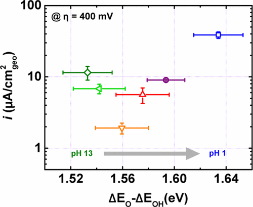 Influence of Surface Adsorption on the Oxygen Evolution Reaction on ...