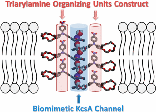 Columnar Self-Assemblies of Triarylamines as Scaffolds for Artificial ...
