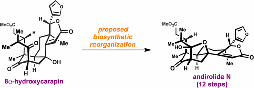 Assembly of the Limonoid Architecture by a Divergent Approach: Total ...