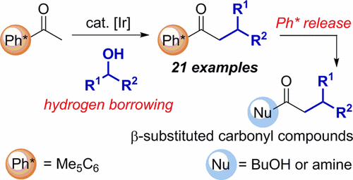 仲醇借氢催化：β-支链羰基化合物生成新途径,Journal of the American Chemical Society - X-MOL