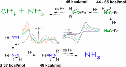 N–H Bond Dissociation Enthalpies and Facile H Atom Transfers for Early ...
