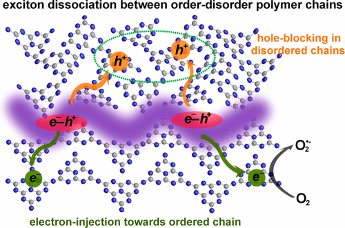 Boosting Hot-Electron Generation: Exciton Dissociation at the Order–Disorder Interfaces in ...