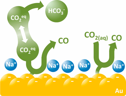 The Central Role of Bicarbonate in the Electrochemical Reduction of ...