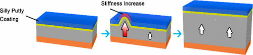 Lithium Metal Anodes with an Adaptive “Solid-Liquid” Interfacial ...