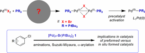 了解 Pd(II) 到 Pd(I) 的不寻常还原机制：揭示催化交叉偶联反应中的隐藏物种和含义,Journal of the American ...