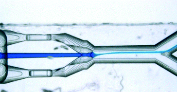 A microfluidic opto-caloric switch for sorting of particles by using 3D-hydrodynamic focusing ...