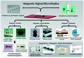 Magnetic digital microfluidics – a review,Lab on a Chip - X-MOL