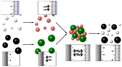 Specific and Reversible DNA-Directed Self-Assembly of Modular Vesicle ...