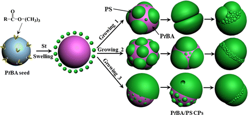 Intriguing Morphology Evolution from Noncrosslinked Poly(tert-butyl ...