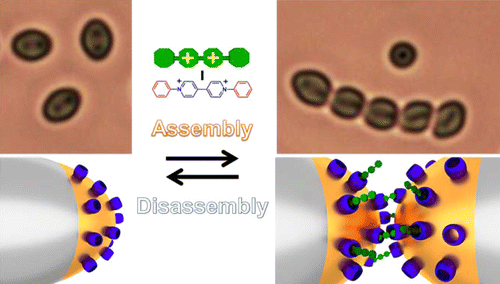 Redox-Responsive Viologen-Mediated Self-Assembly of CB[7]-Modified ...
