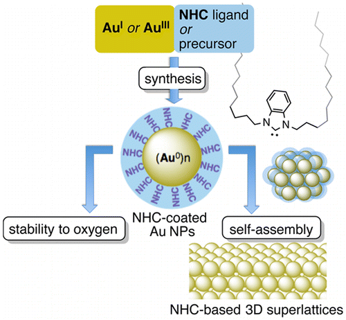 N-Heterocyclic Carbene Ligands for Au Nanocrystal Stabilization and ...