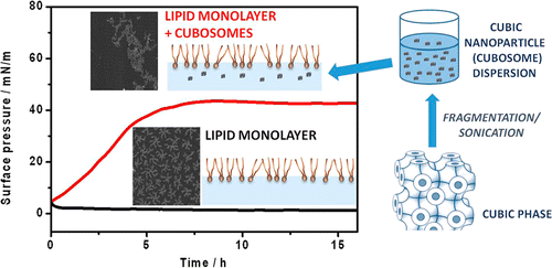 脂质立方相纳米脂质与脂质膜的相互作用。,Langmuir - X-MOL