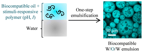 Biocompatible Stimuli-Responsive W/O/W Multiple Emulsions Prepared by ...