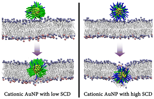 Molecular Understanding of the Penetration of Functionalized Gold ...