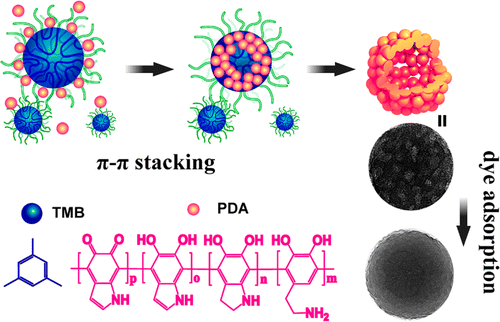 Nanoscale Polydopamine (PDA) Meets π–π Interactions: An Interface ...