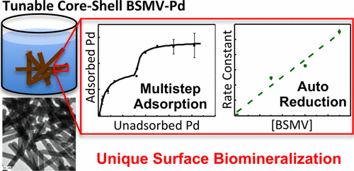 BSMV作为钯纳米材料合成的生物模板,Langmuir - X-MOL