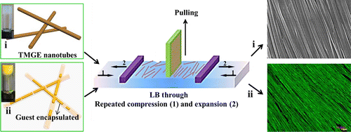 通过Langmuir-Blodgett技术对自组装有机纳米管进行二维排列,Langmuir - X-MOL