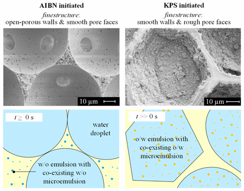 Diving into the Finestructure of Macroporous Polymer Foams Synthesized ...