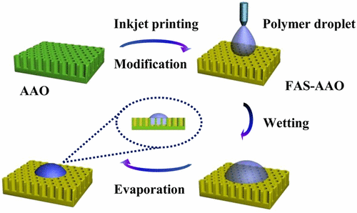 Wetting of Inkjet Polymer Droplets on Porous Alumina Substrates ...