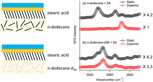 Analysis of the Interfacial Molecular Behavior of a Lubrication Film of ...