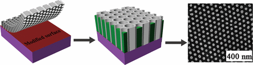 Hydrophilicity Reinforced Adhesion of Anodic Alumina Oxide Template ...