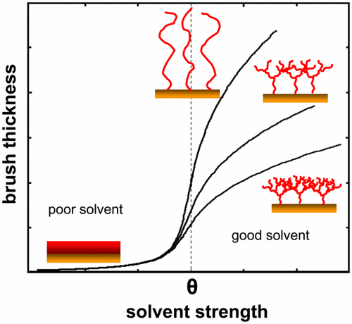 Dendron and Hyperbranched Polymer Brushes in Good and Poor Solvents ...