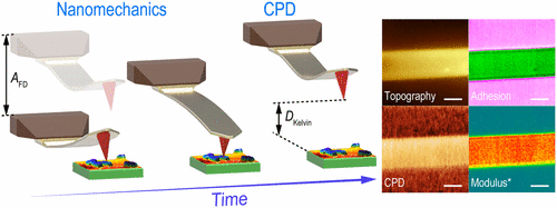 Multiparametric Kelvin Probe Force Microscopy for the Simultaneous ...