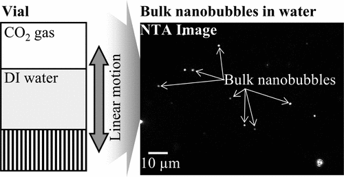 Generation and Stability of Bulk Nanobubbles,Langmuir - X-MOL