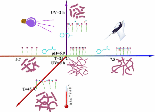 新型三响应蠕虫状胶束的研究,Langmuir - X-MOL