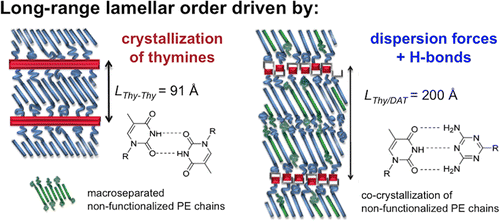 Microphase Separation and Crystallization in H-Bonding End ...