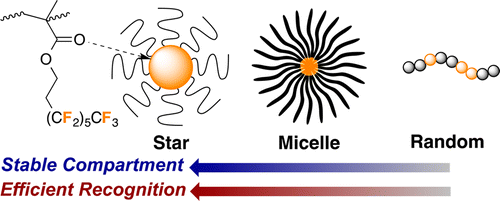 Fluorinated Microgels in Star Polymers: From In-Core Dynamics to ...