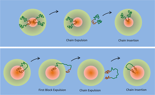 Remarkable Effect of Molecular Architecture on Chain Exchange in ...