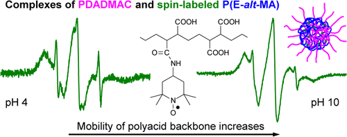 Rotational Dynamics of Spin-Labeled Polyacid Chain Segments in ...