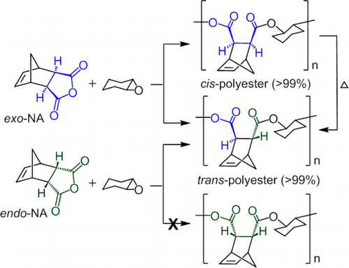 Controllable Synthesis of Stereoregular Polyesters by Organocatalytic ...