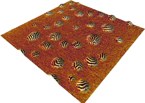 Interplay of Surface Energy and Bulk Thermodynamic Forces in Ordered ...