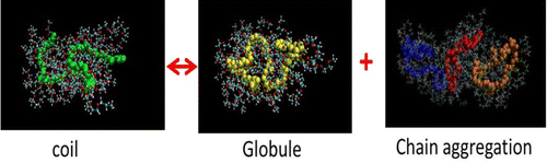 Conformation of Hydrophobically Modified Thermoresponsive Poly(OEGMA-co ...