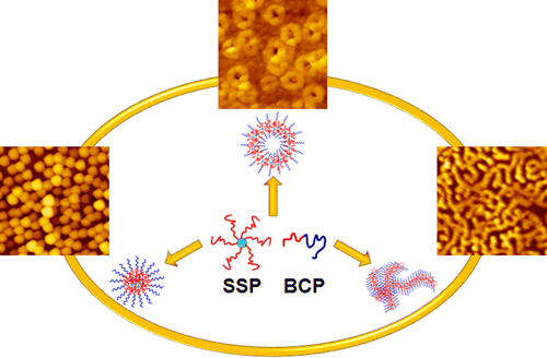 Controllable Nanostructure Formation through Enthalpy-Driven Assembly of Polyoxometalate ...