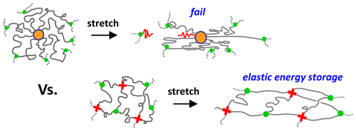 Well-Defined Shape-Memory Networks with High Elastic Energy Capacity ...