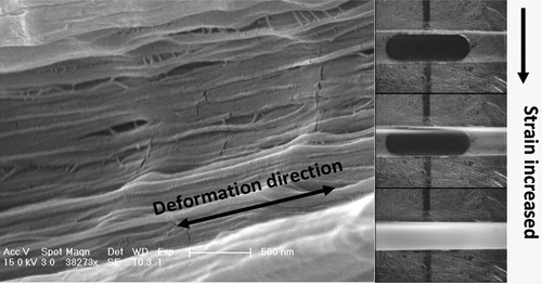 Cavitation in Isotactic Polypropylene at Large Strains during Tensile ...