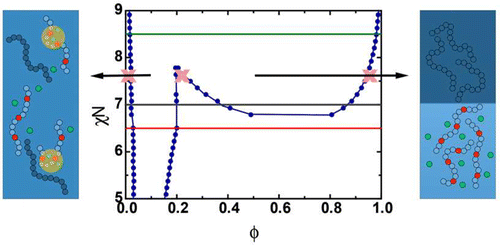Theoretical Analysis Of Multiple Phase Coexistence In Polyelectrolyte Blends Macromolecules X Mol